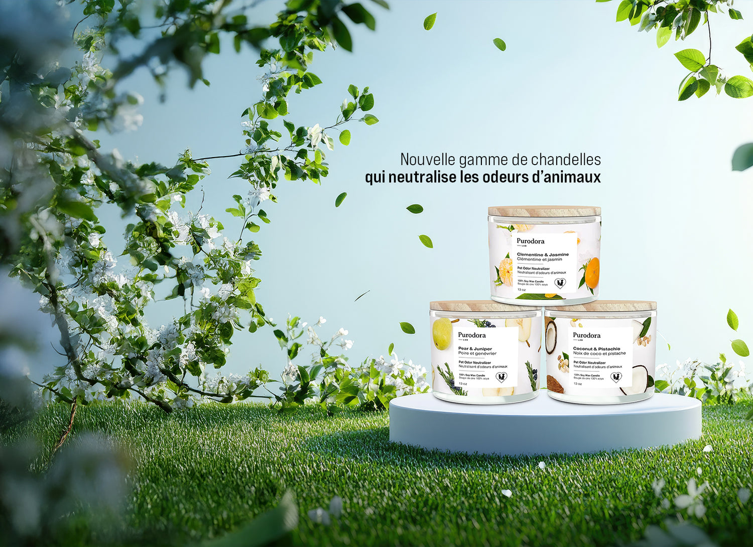 MIRANET, Produits sanitaires & Équipements pour nettoyer comme les pro