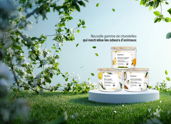 MIRANET, Produits sanitaires & Équipements pour nettoyer comme les pro
